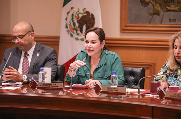 Anuncia Carmen Lilia Canturosas becas de 5 mil pesos para artistas ...